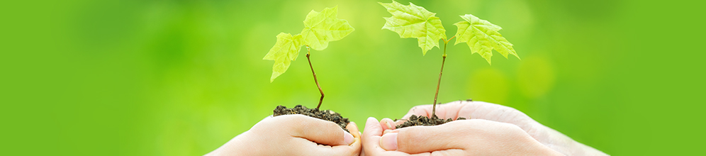 Quality Management | Sustainability Management | SFA SEMICON