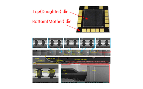 Packaging - WLCSP | PRODUCTS | SFA SEMICON